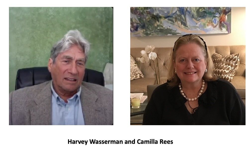 WHY NUCLEAR POWER SUCKS! – Green Grassroots Emergency Election ...